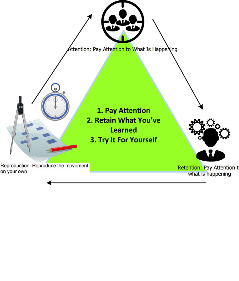 Observational Learning - Dominic Sessa